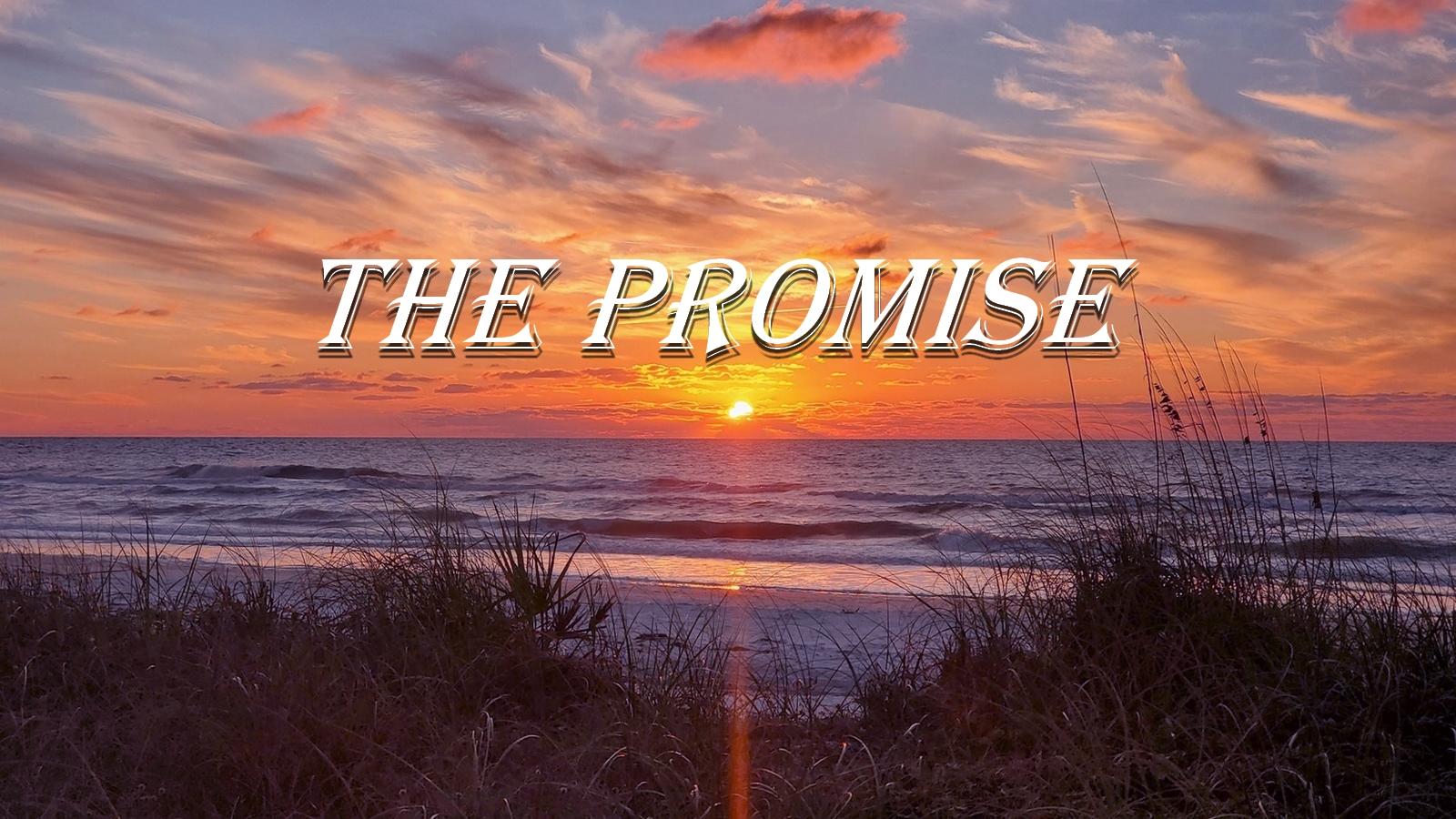 OT Survey 03 The Promise Lesson Page – Interactive Bible Study